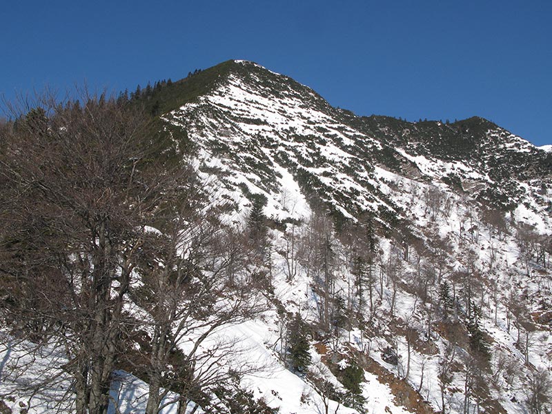 Leonsberg, Zimnitz, Gartenzinken, Walkerskogel