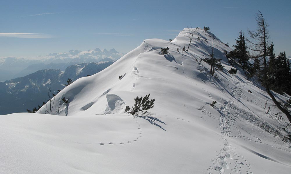 Leonsberg, Zimnitz, Gartenzinken, Walkerskogel